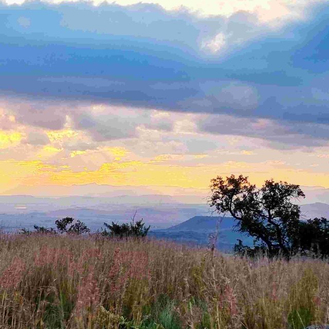 The Midlands Magazine