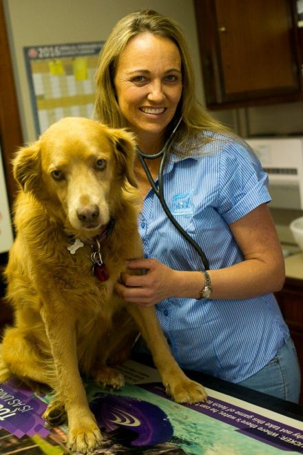 Meander Square | The Midlands Magazine