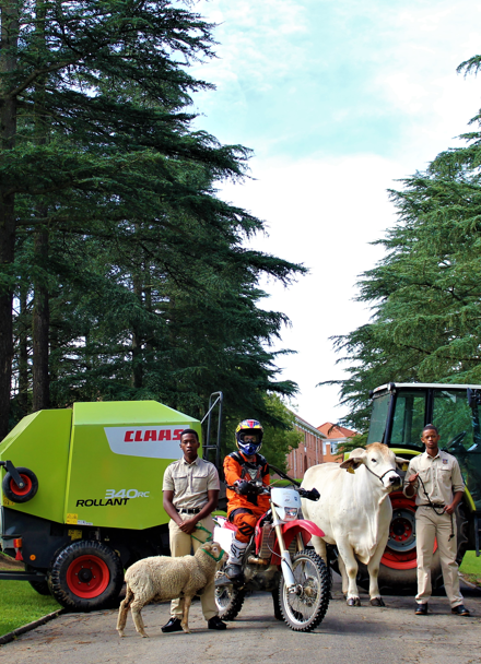 The Midlands Magazine